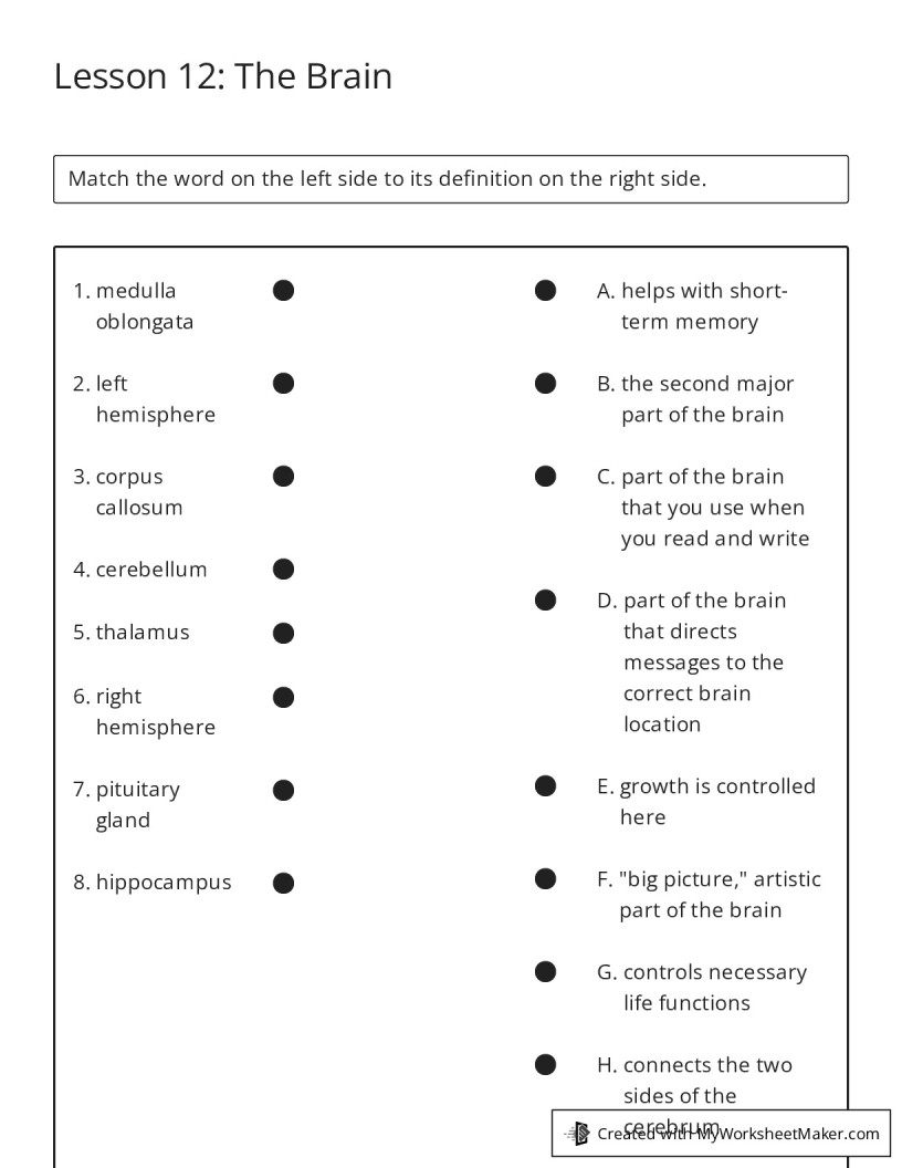 Lesson 12: The Brain - My Worksheet Maker: Create Your Own Worksheets