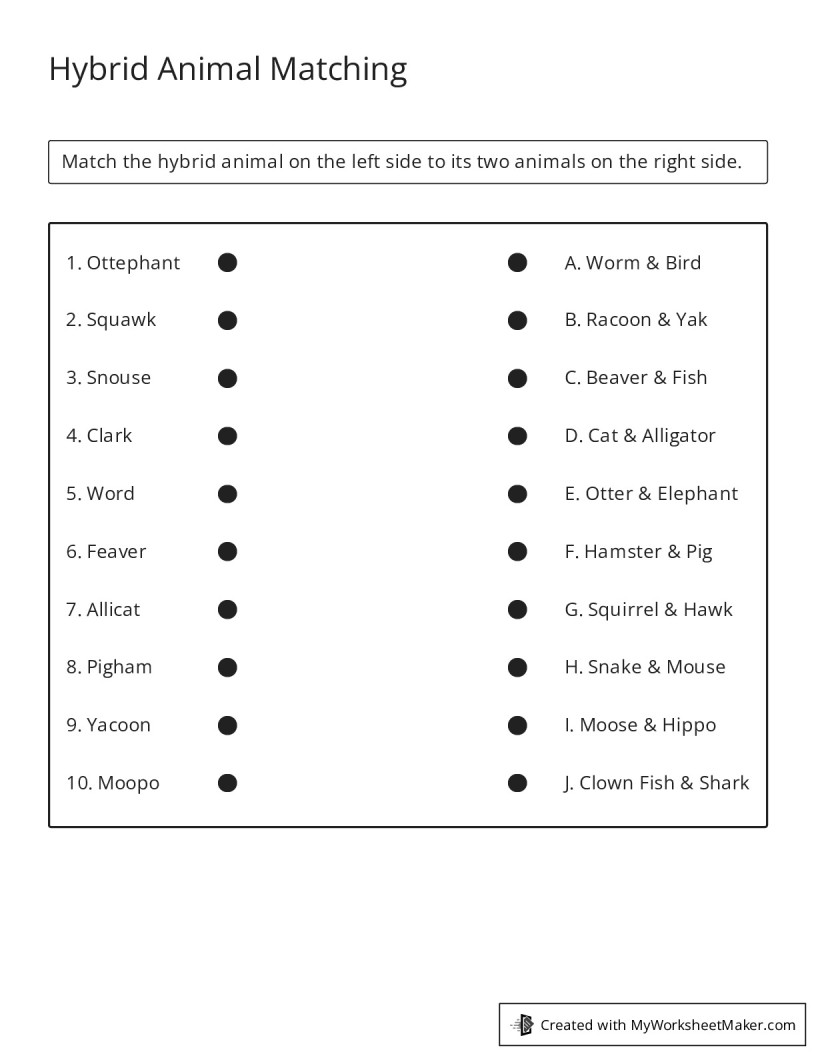 Hybrid Animal Matching - My Worksheet Maker: Create Your Own Worksheets