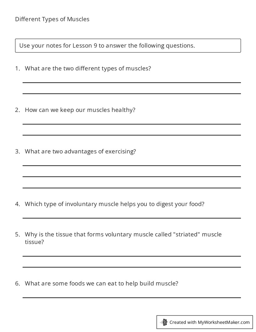 Different Types of Muscles - My Worksheet Maker: Create Your Own Worksheets