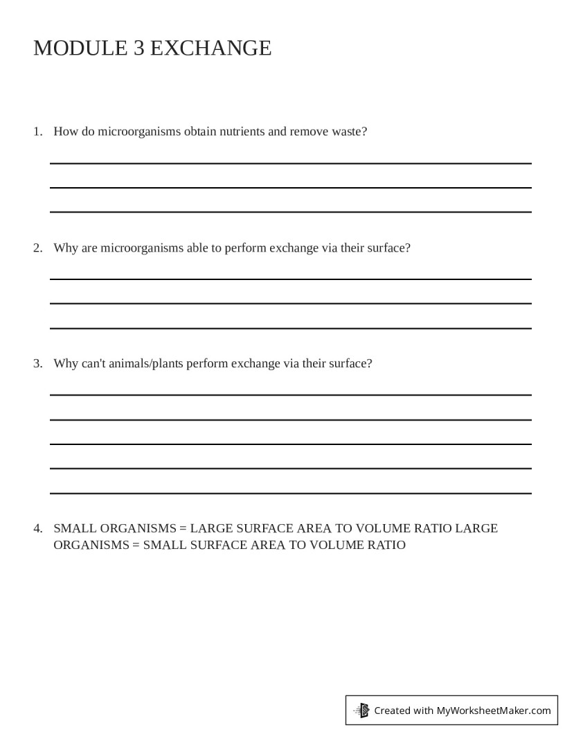 MODULE 3 EXCHANGE - My Worksheet Maker: Create Your Own Worksheets