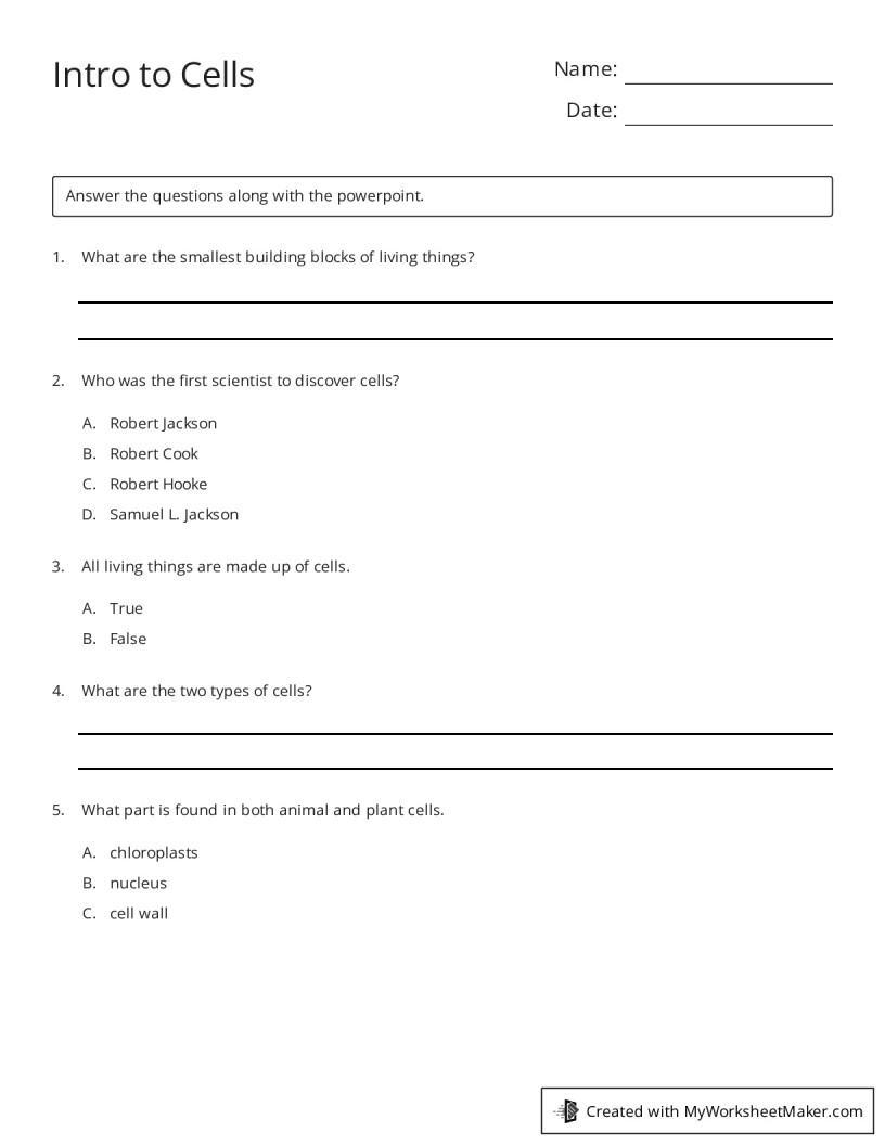 Intro to Cells - My Worksheet Maker: Create Your Own Worksheets