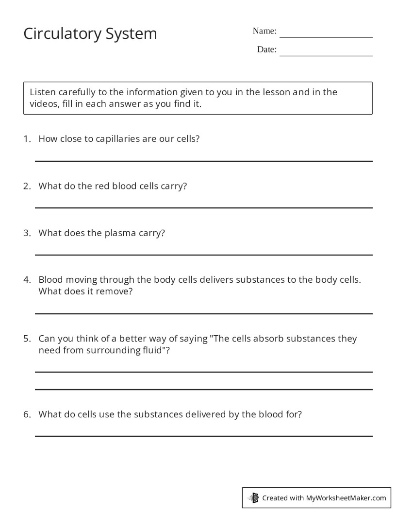 Circulatory System - My Worksheet Maker: Create Your Own Worksheets