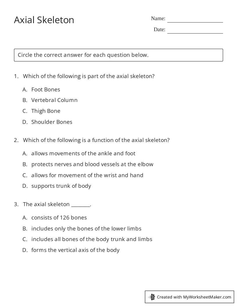 Axial Skeleton - My Worksheet Maker: Create Your Own Worksheets