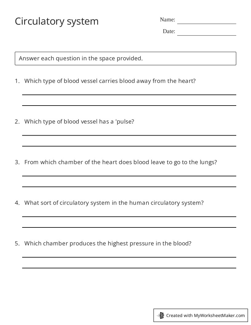 Circulatory system - My Worksheet Maker: Create Your Own Worksheets