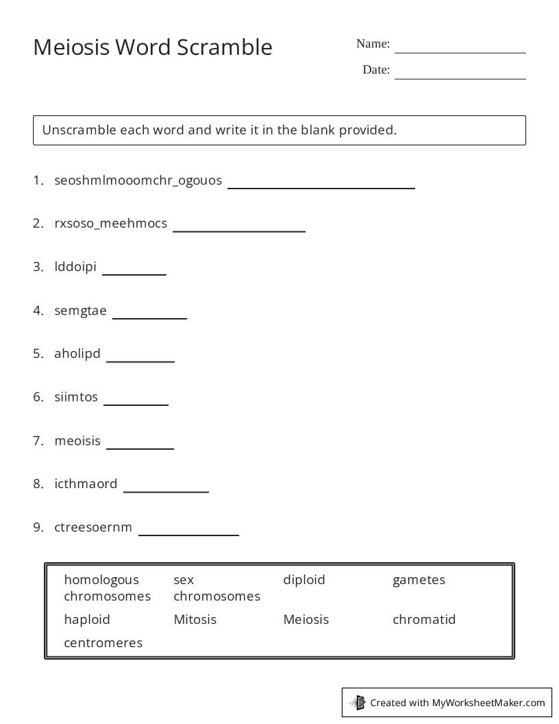 Meiosis Word Scramble - My Worksheet Maker: Create Your Own Worksheets
