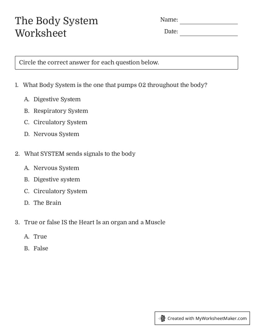 The Body System Worksheet - My Worksheet Maker: Create Your Own Worksheets