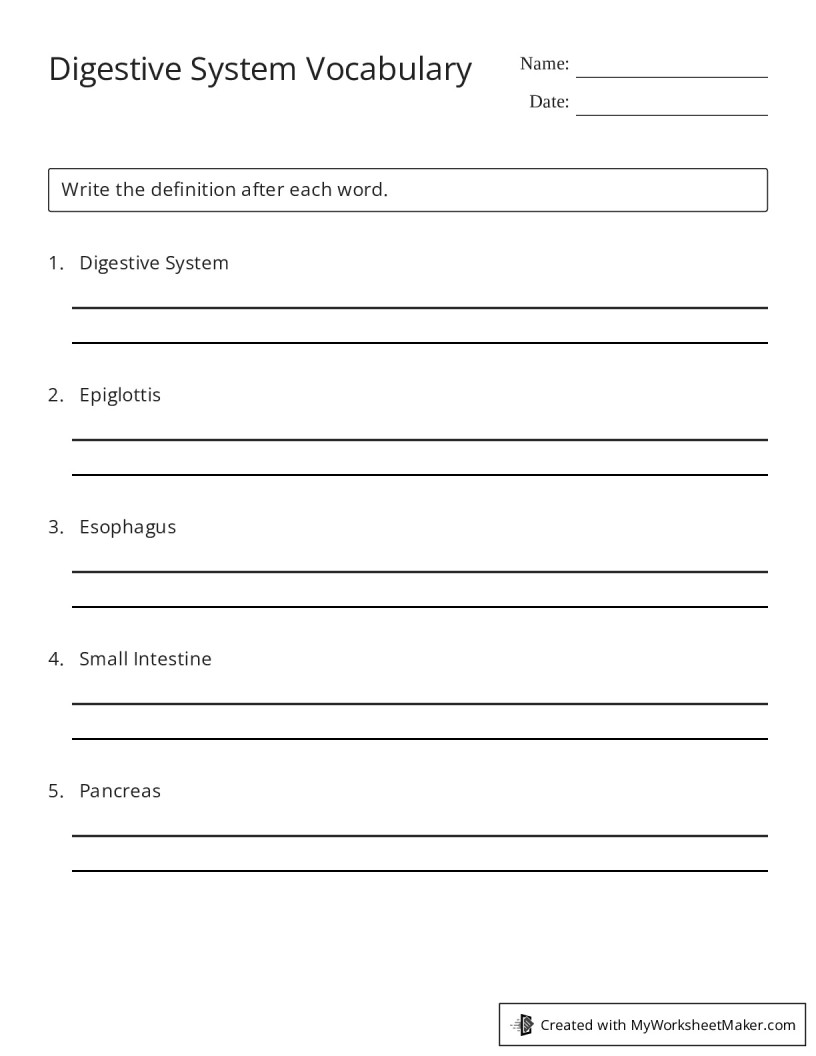 Digestive System Vocabulary - My Worksheet Maker: Create Your Own ...