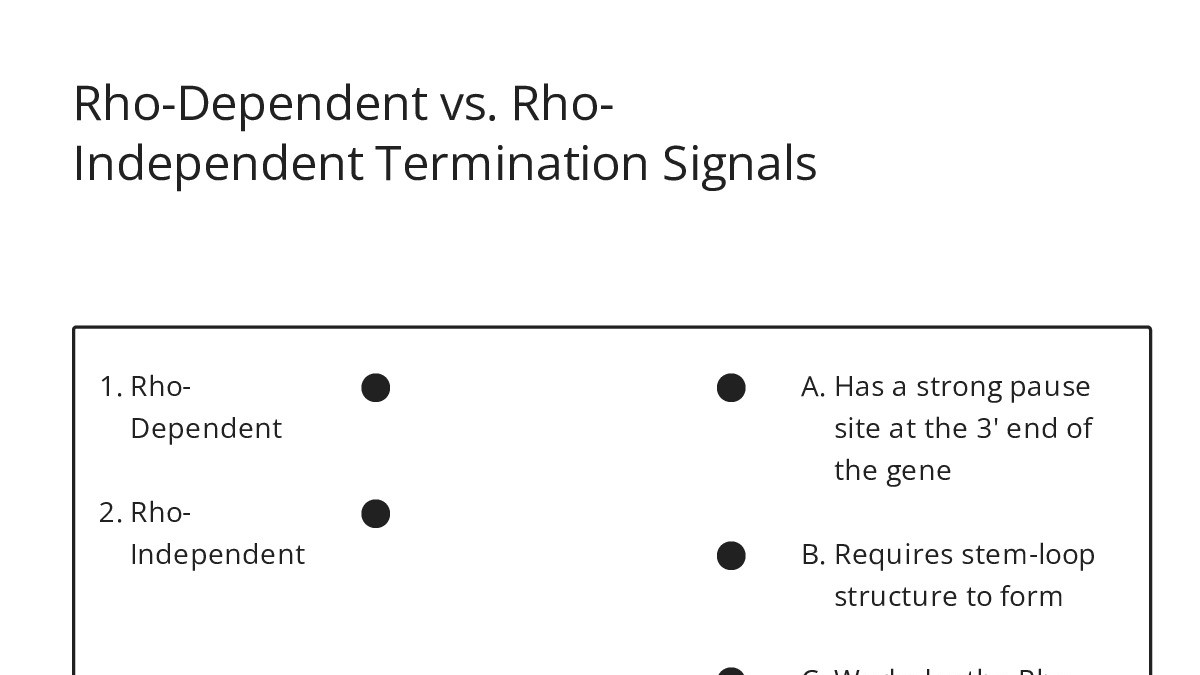 Rho-Dependent vs. Rho-Independent Termination Signals - My Worksheet ...