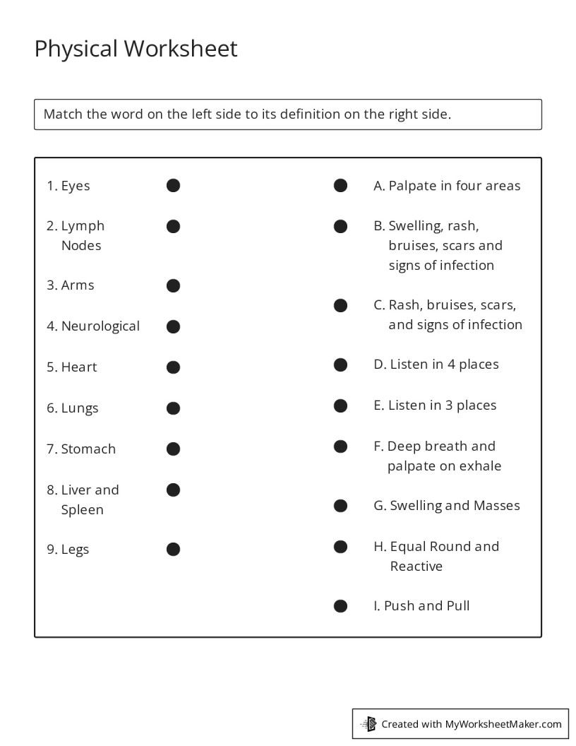 Physical Worksheet - My Worksheet Maker: Create Your Own Worksheets