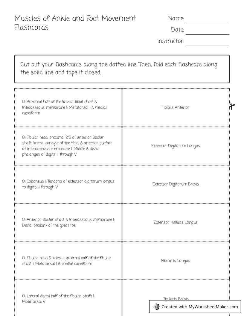 Muscles of Ankle and Foot Movement Flashcards - My Flashcard Maker ...