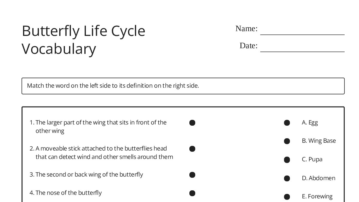 Butterfly Life Cycle Vocabulary - My Worksheet Maker: Create Your Own ...