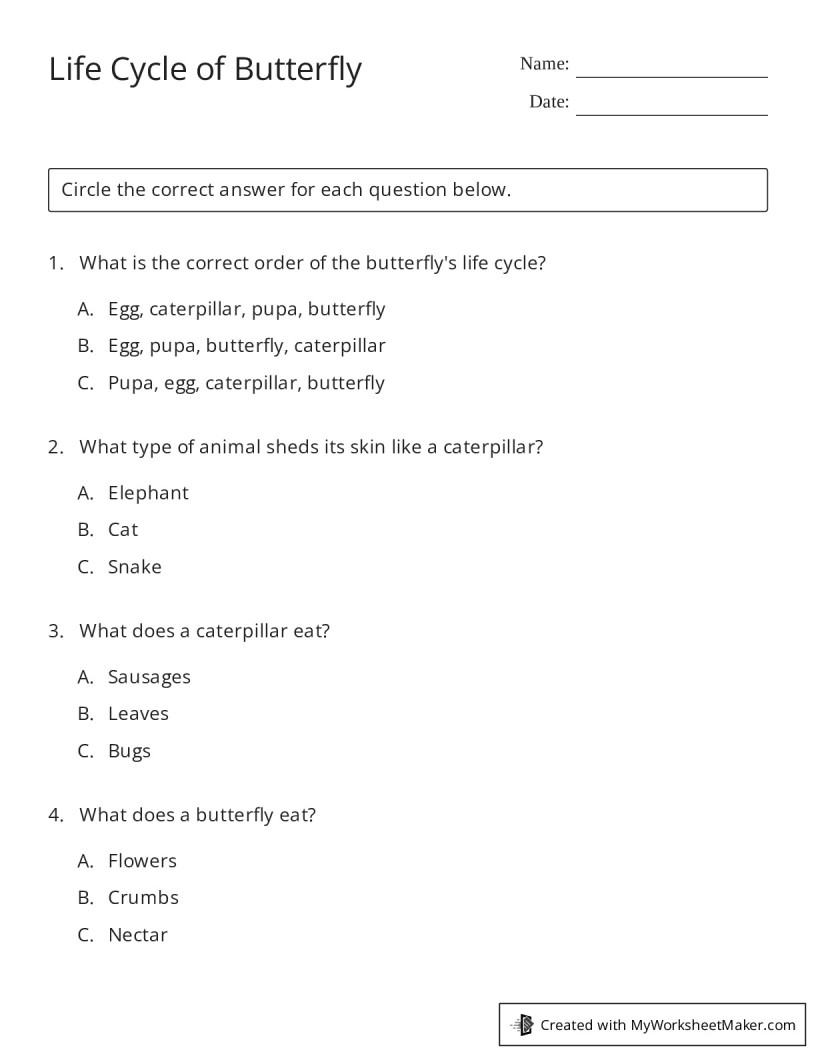 Life Cycle of Butterfly - My Worksheet Maker: Create Your Own Worksheets