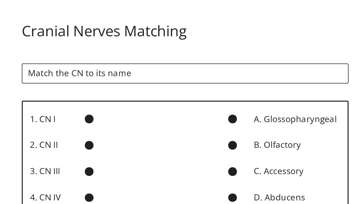 Cranial Nerves Matching - My Worksheet Maker: Create Your Own Worksheets