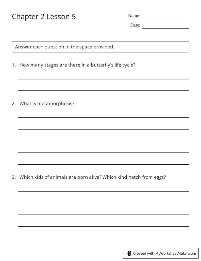 Chapter 2 Lesson 5 - My Worksheet Maker: Create Your Own Worksheets