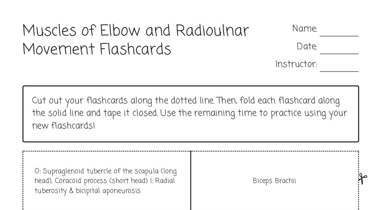 Muscles of Elbow and Radioulnar Movement Flashcards - My Flashcard ...