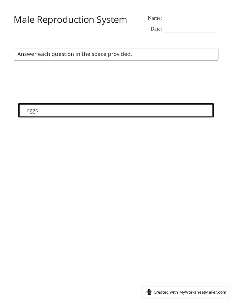 Male Reproduction System - My Worksheet Maker: Create Your Own Worksheets