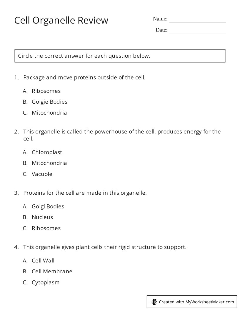 Cell Organelle Review - My Worksheet Maker: Create Your Own Worksheets