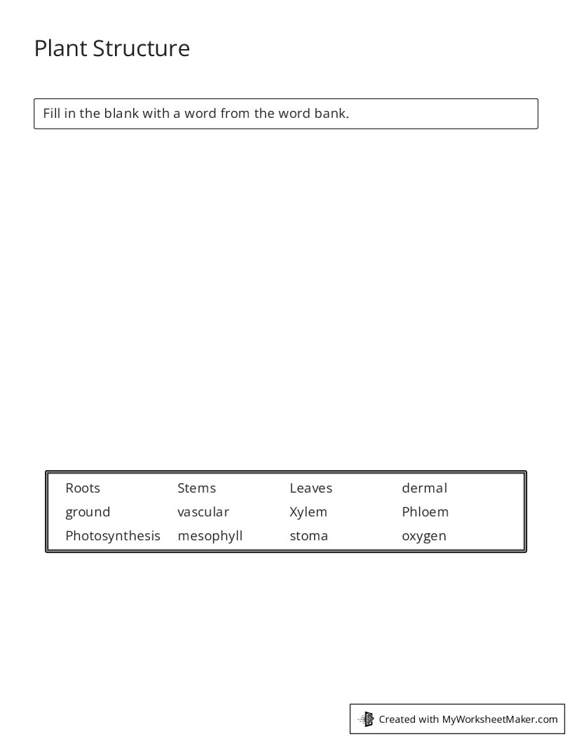 Plant Structure - My Worksheet Maker: Create Your Own Worksheets