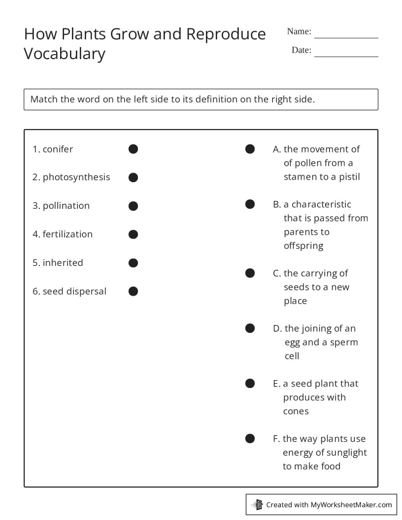 How Plants Grow and Reproduce Vocabulary - My Worksheet Maker: Create ...
