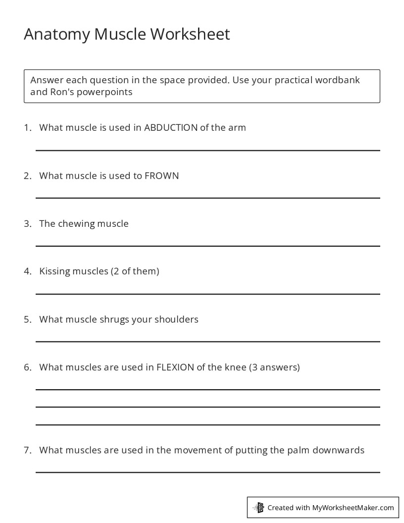 Anatomy Muscle Worksheet - My Worksheet Maker: Create Your Own Worksheets