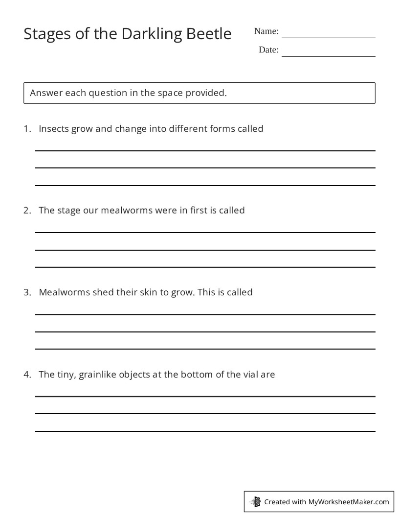 Stages of the Darkling Beetle - My Worksheet Maker: Create Your Own ...