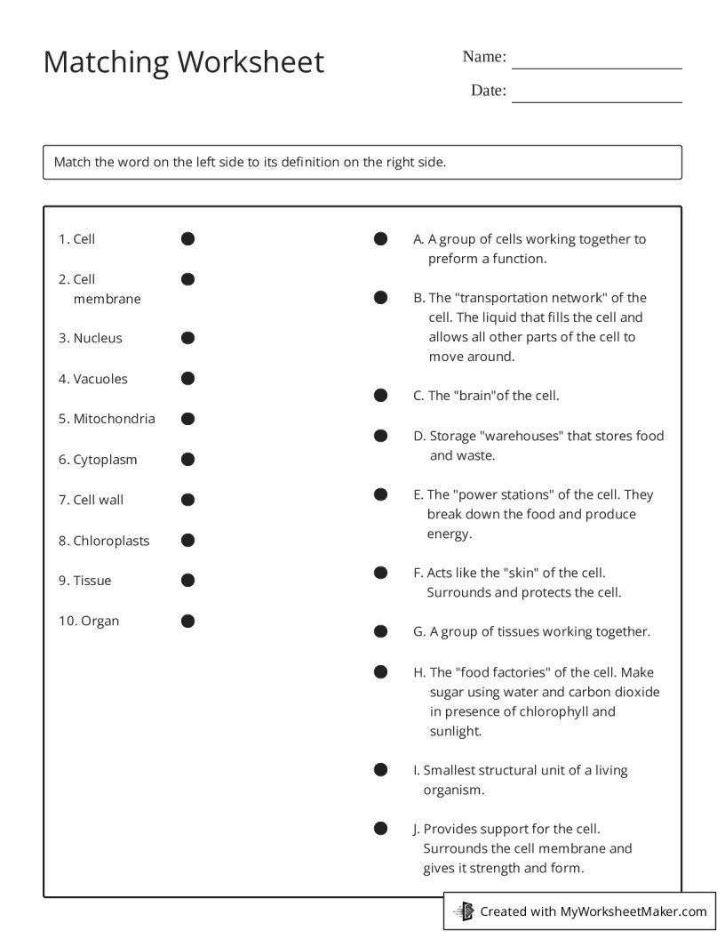 Matching Worksheet - My Worksheet Maker: Create Your Own Worksheets