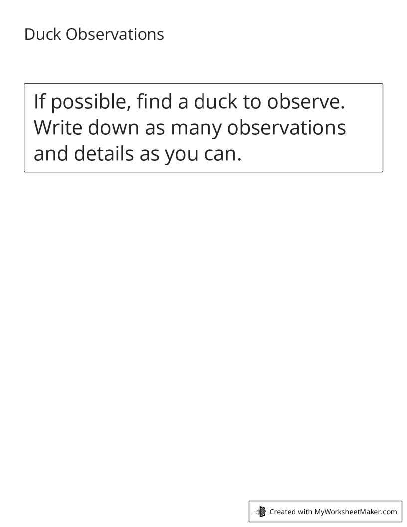Duck Observations - My Worksheet Maker: Create Your Own Worksheets