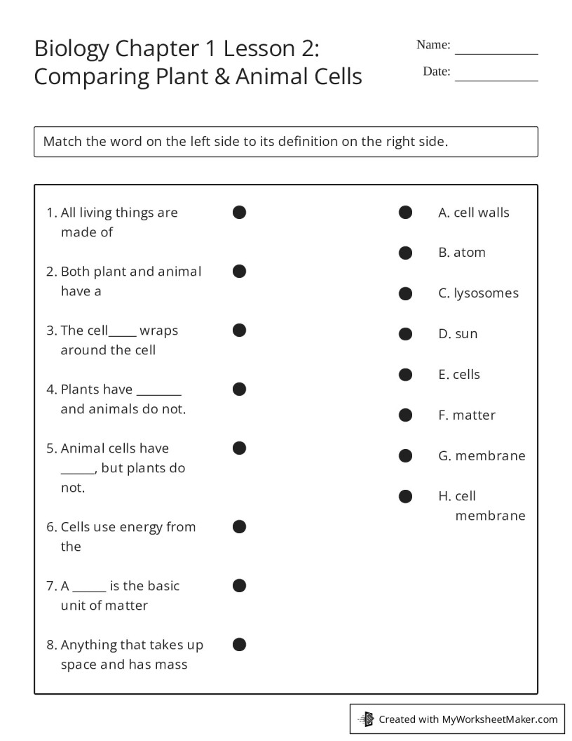 Biology Chapter 1 Lesson 2: Comparing Plant & Animal Cells - My ...
