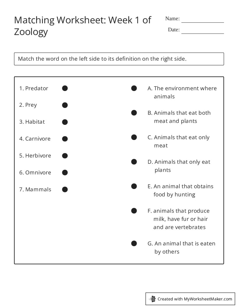 Matching Worksheet: Week 1 of Zoology - My Worksheet Maker: Create Your ...