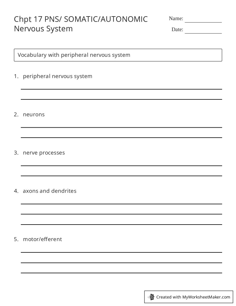 Chpt 17 PNS/ SOMATIC/AUTONOMIC Nervous System - My Worksheet Maker ...