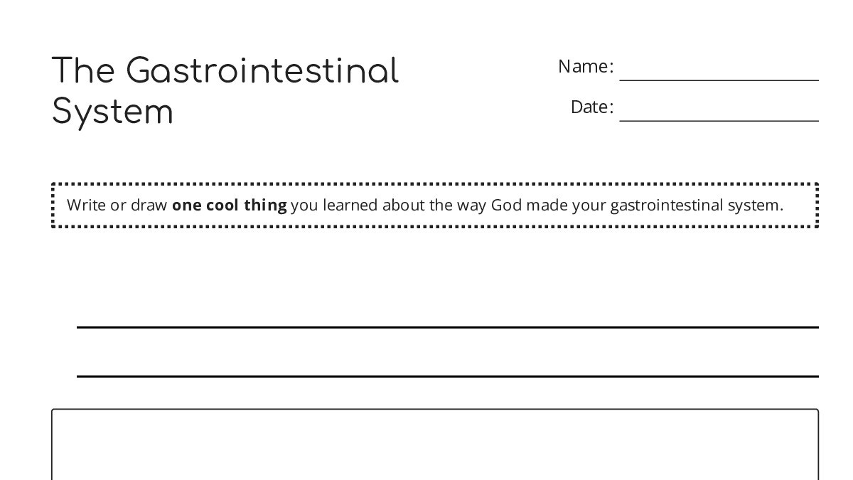 The Gastrointestinal System - My Worksheet Maker: Create Your Own ...