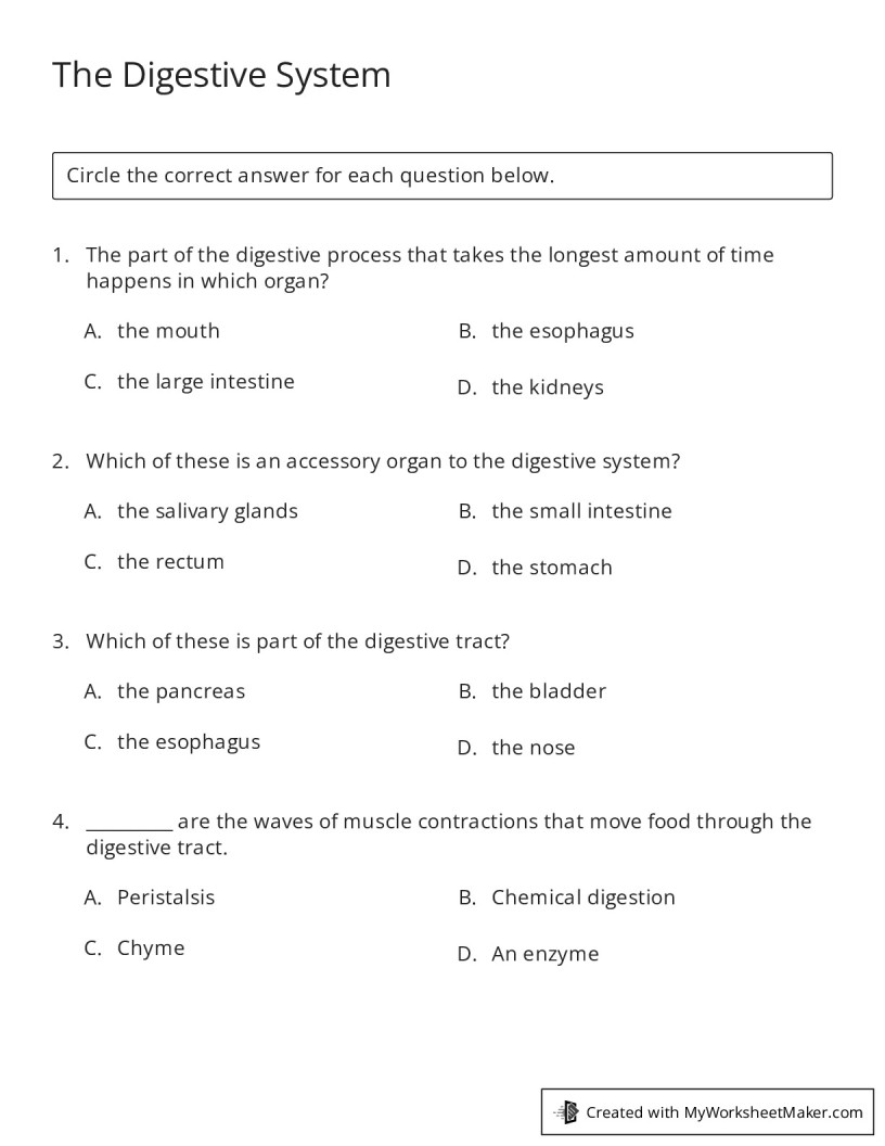The Digestive System - My Worksheet Maker: Create Your Own Worksheets
