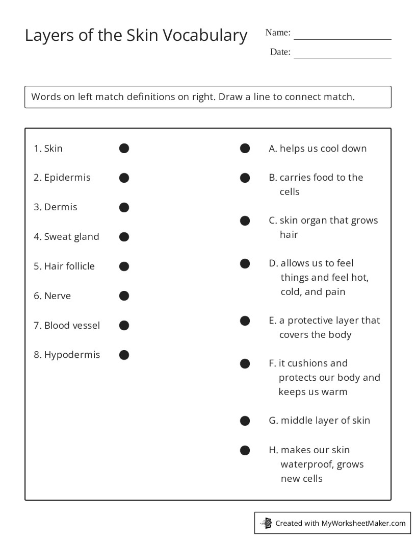 Layers of the Skin Vocabulary - My Worksheet Maker: Create Your Own ...