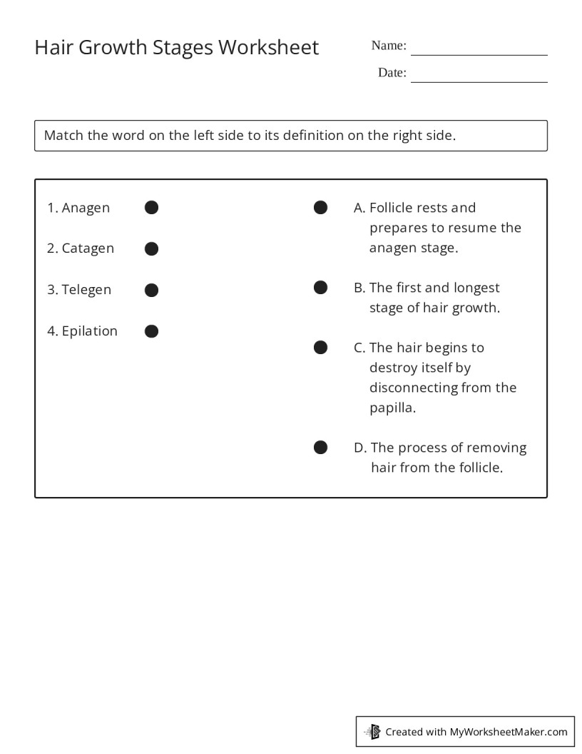 Hair Growth Stages Worksheet - My Worksheet Maker: Create Your Own ...