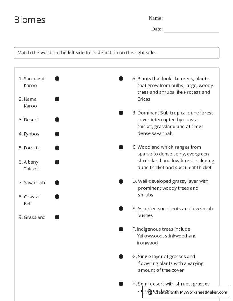 Biomes - My Worksheet Maker: Create Your Own Worksheets