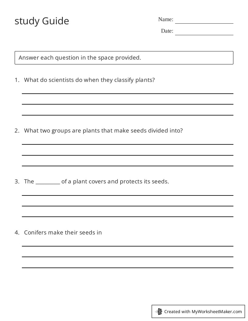 study Guide - My Worksheet Maker: Create Your Own Worksheets