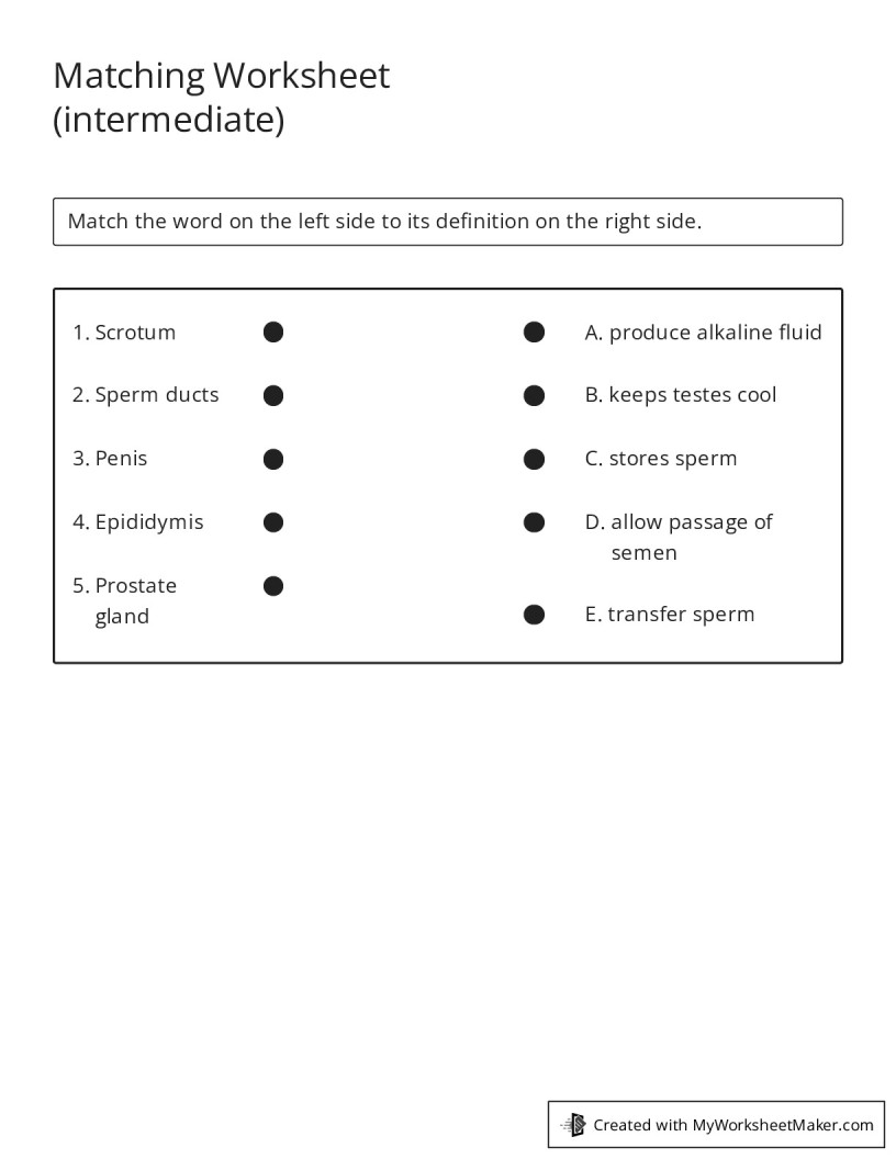 Matching Worksheet (intermediate) - My Worksheet Maker: Create Your Own ...