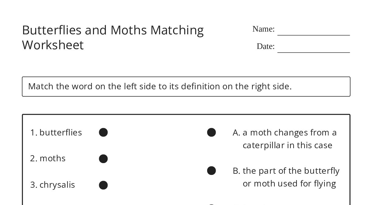 Butterflies and Moths Matching Worksheet - My Worksheet Maker: Create ...