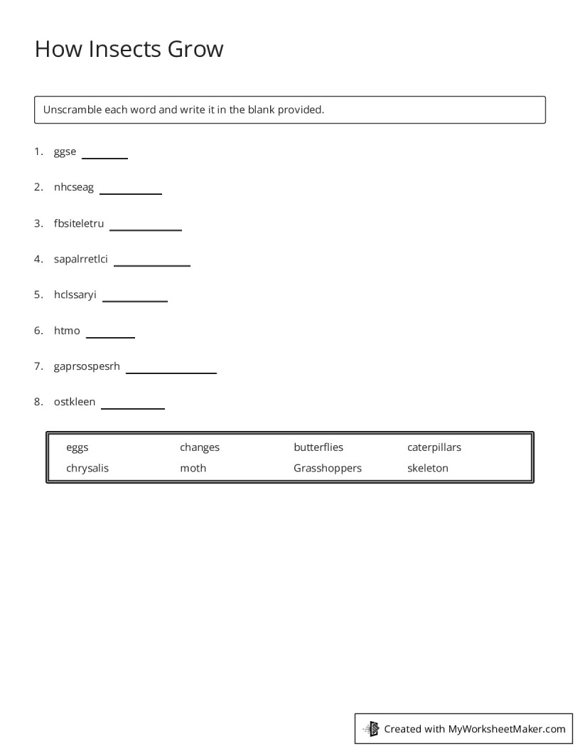 How Insects Grow - My Worksheet Maker: Create Your Own Worksheets
