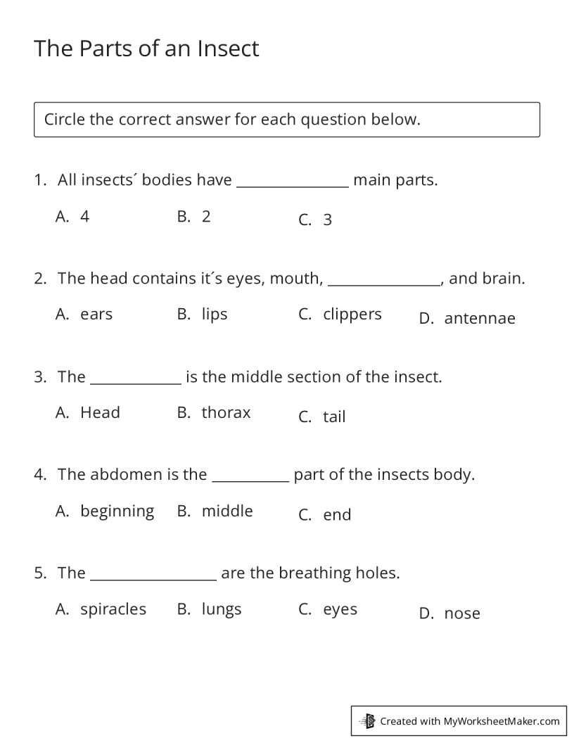 The Parts of an Insect - My Worksheet Maker: Create Your Own Worksheets