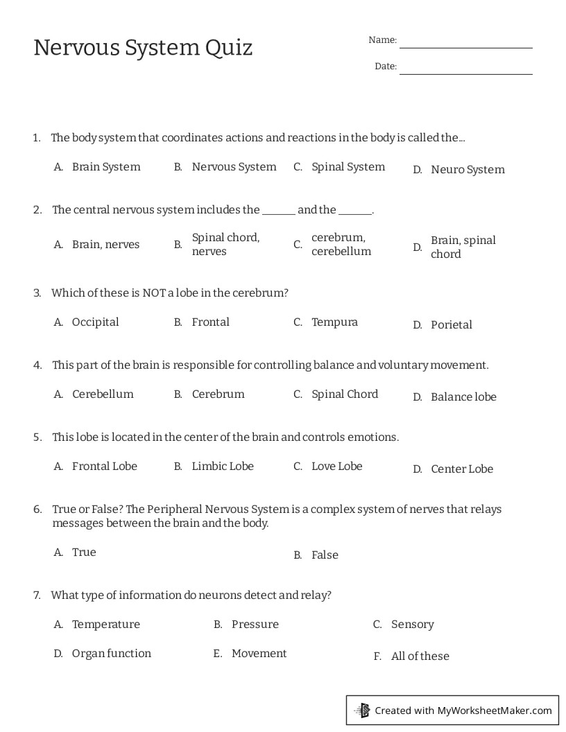 Nervous System Quiz - My Worksheet Maker: Create Your Own Worksheets