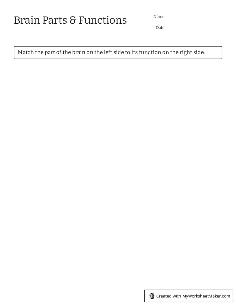 Brain Parts & Functions - My Worksheet Maker: Create Your Own Worksheets