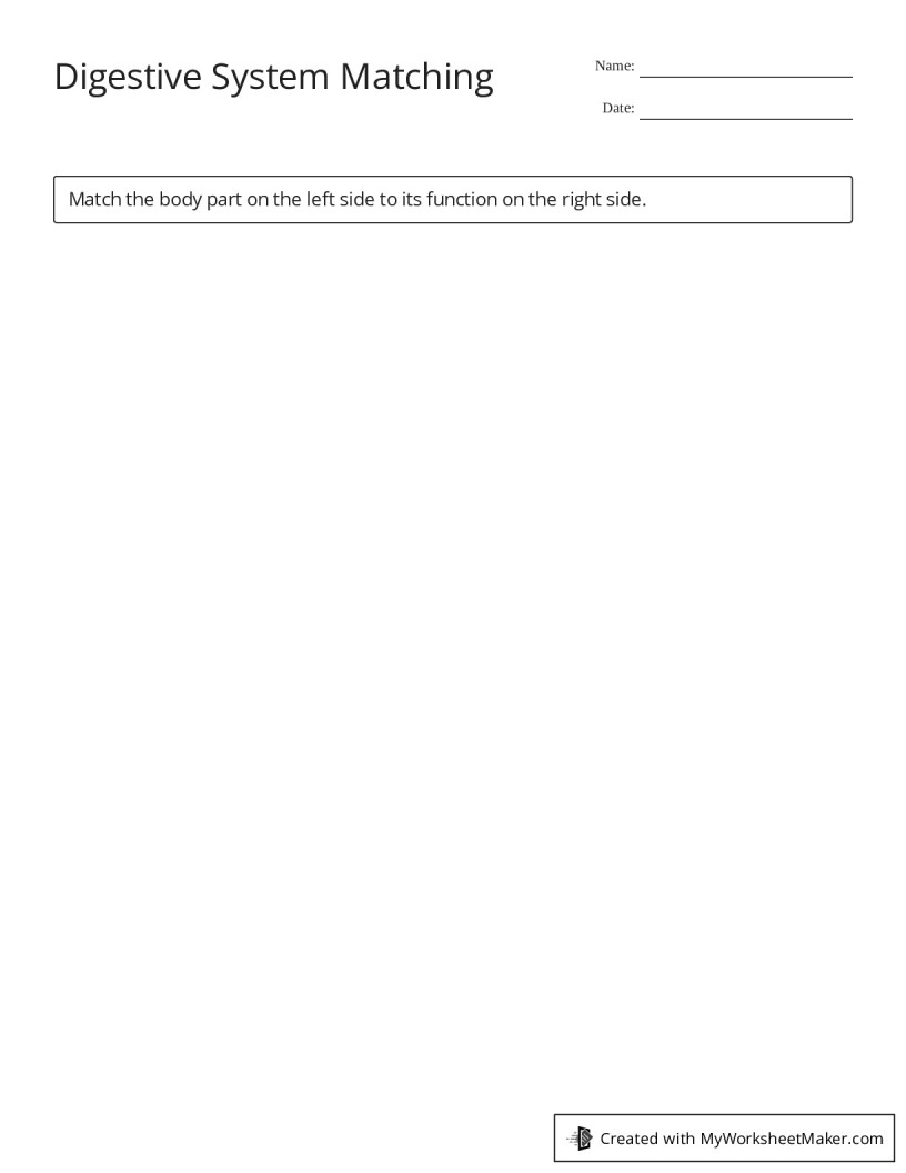 My Worksheet Maker: The Best Online Worksheet Creator