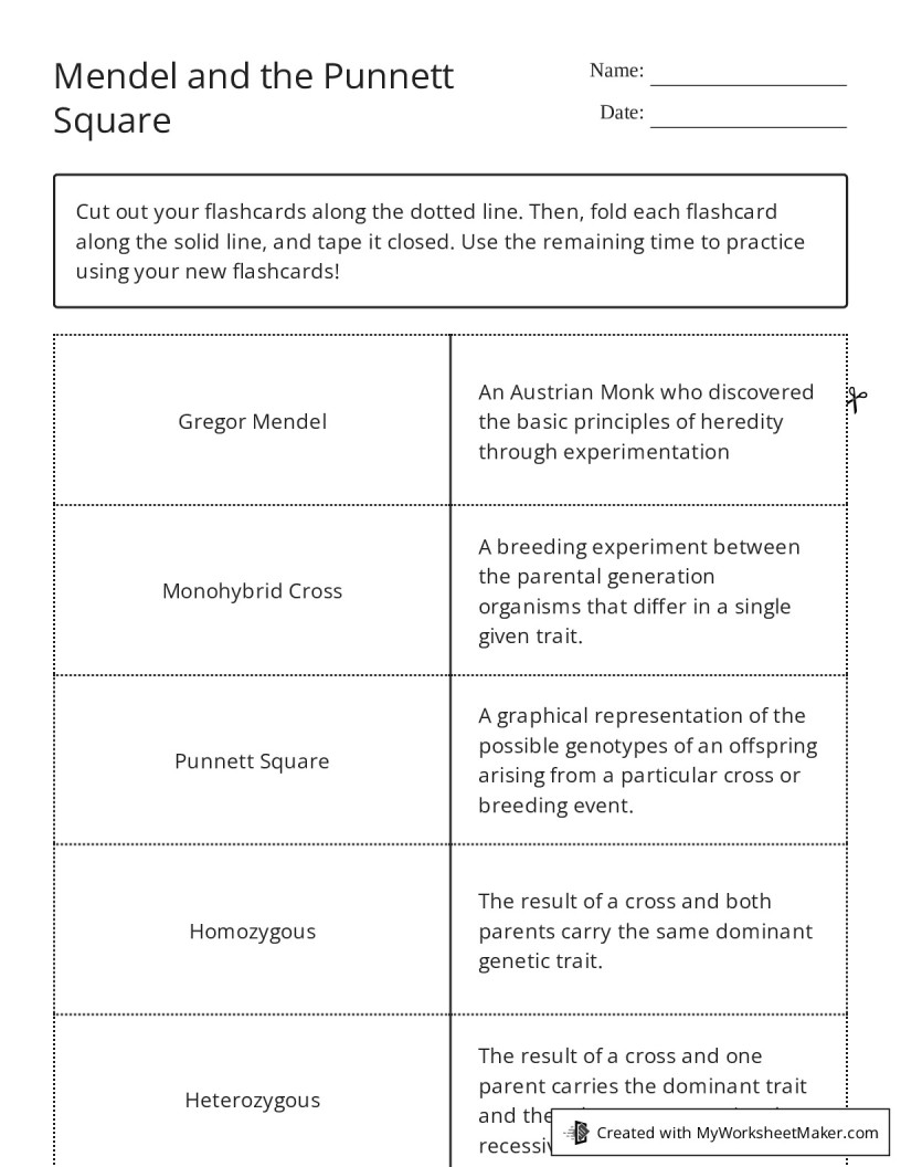 Mendel and the Punnett Square - My Flashcard Maker: Create Your Own ...