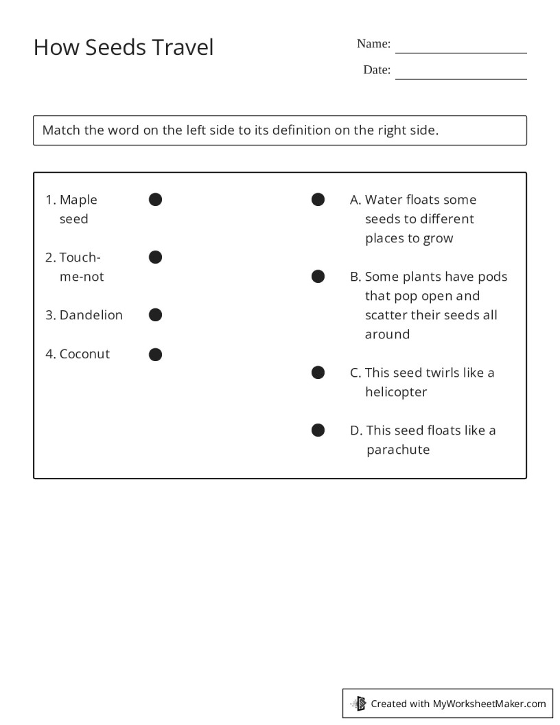 How Seeds Travel - My Worksheet Maker: Create Your Own Worksheets