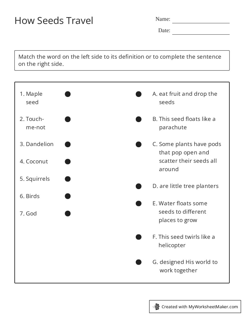 How Seeds Travel - My Worksheet Maker: Create Your Own Worksheets
