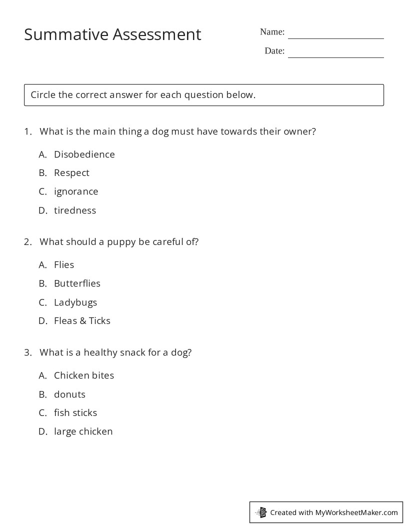 Summative Assessment - My Worksheet Maker: Create Your Own Worksheets