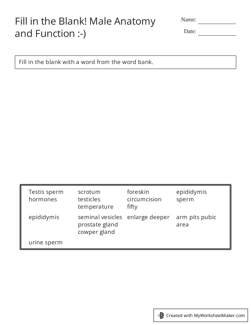 Fill in the Blank! Male Anatomy and Function :-) - My Worksheet Maker ...
