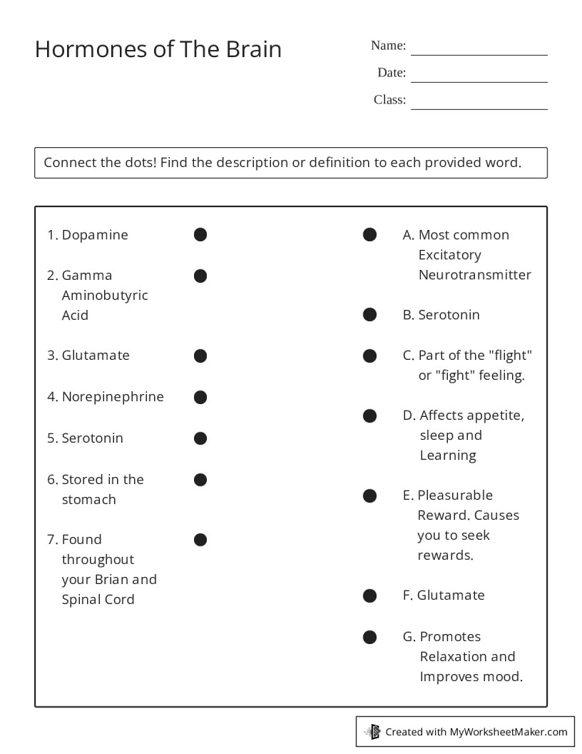 Hormones of The Brain - My Worksheet Maker: Create Your Own Worksheets