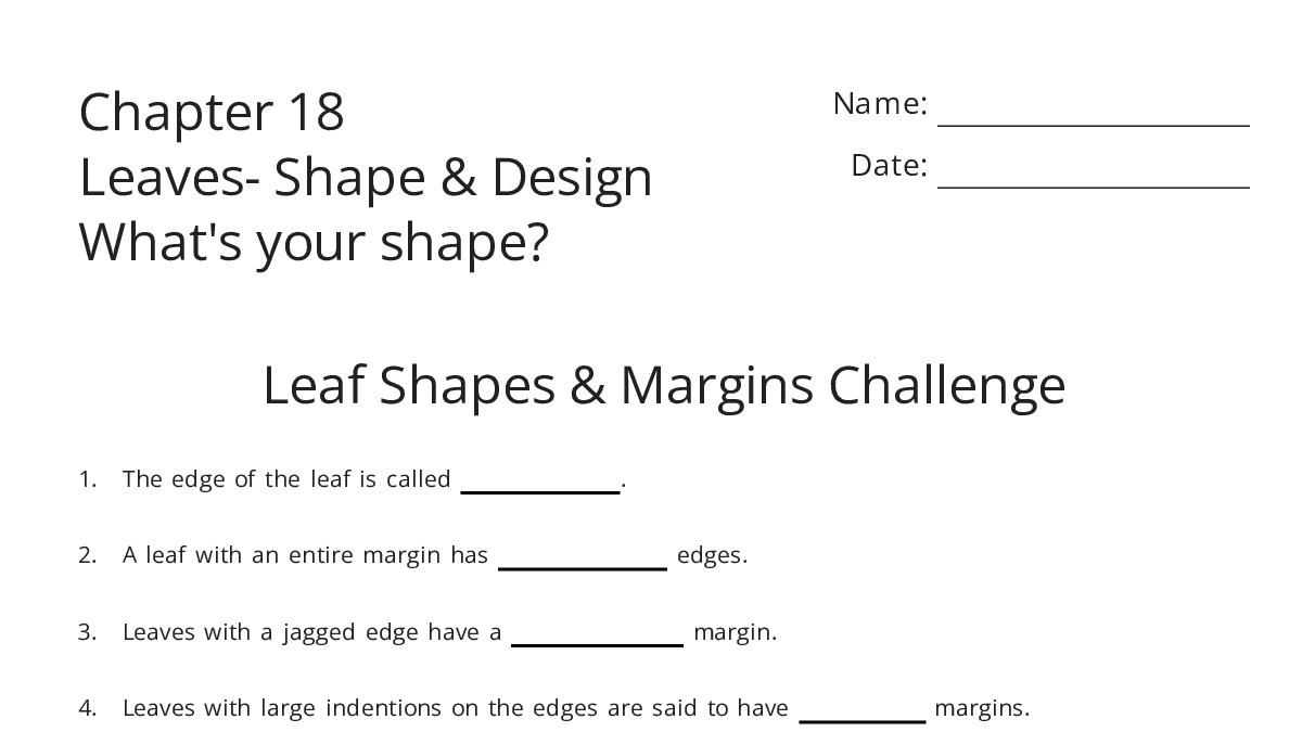 Chapter 18 Leaves- Shape & Design What's your shape? - My Worksheet ...